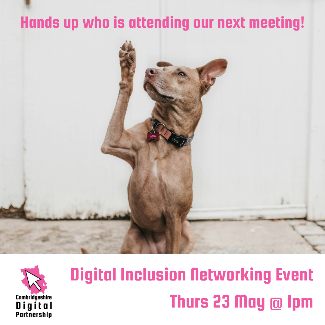 Digital Inclusion Network 23 May 2024 – Cambridgeshire Digital Partnership